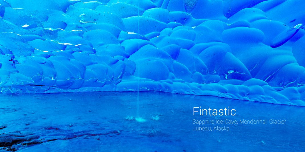 Fintastic - Aaron M Photography Blog